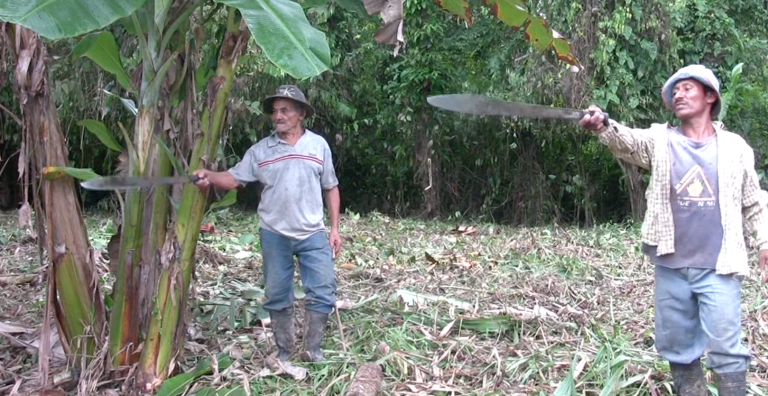 VIAJE POR EL TIEMPO RECORDANDO LOS CONOCIMIENTOS ANCESTRALES TAWAHKAS ...