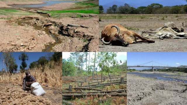Cambio climático en Honduras - El Pulso Cambio climático en Honduras - El Pulso