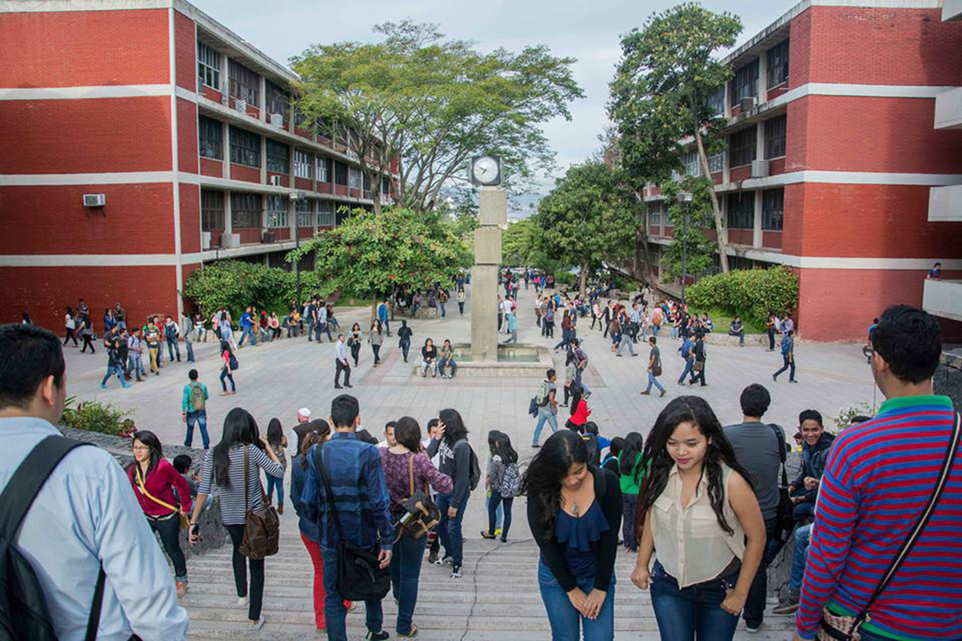 Expertos aseguran que se debe mejorar la educación primaria y no ...
