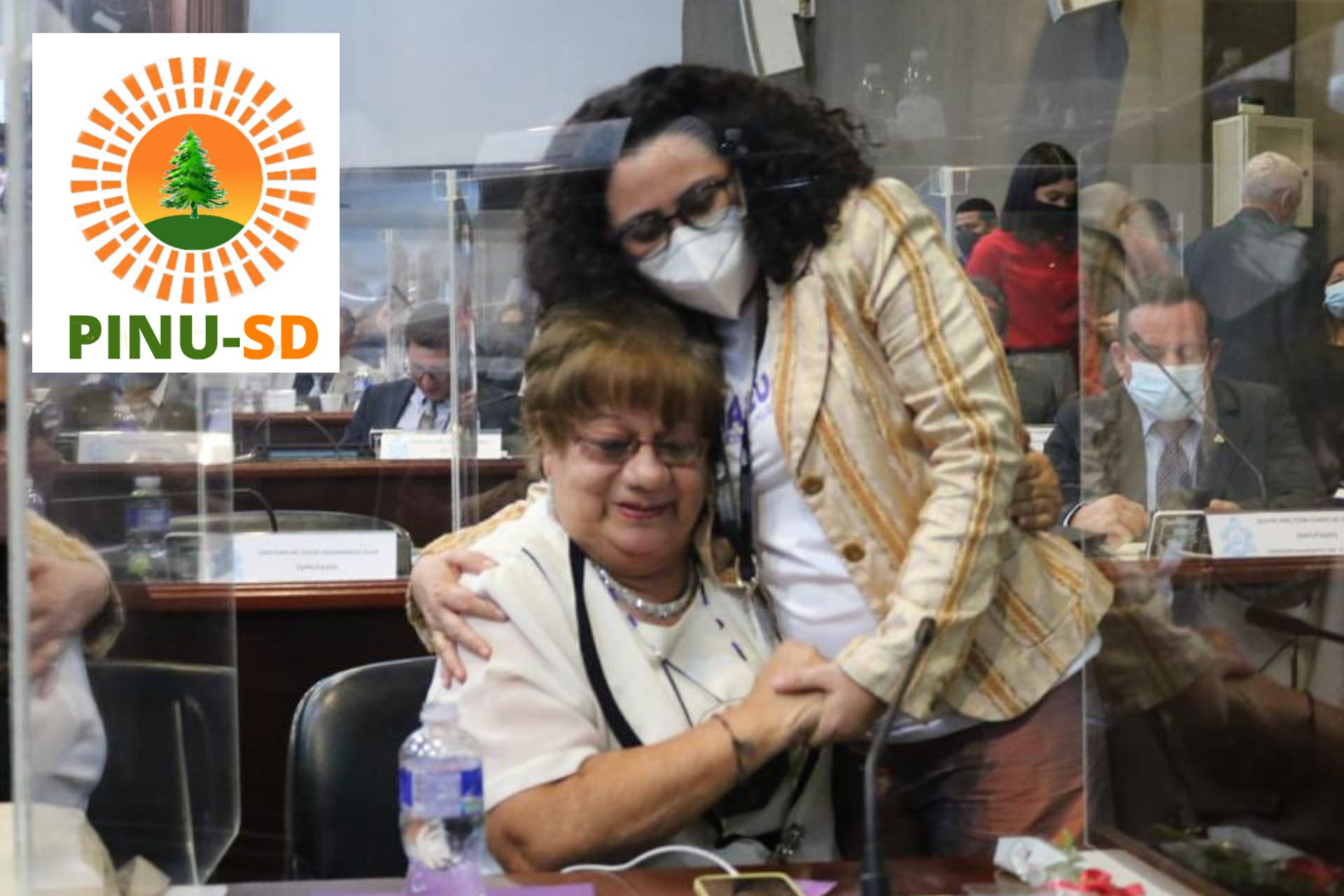 Dirigencia del Pinu solicita suspender de sus filas a diputada y ...